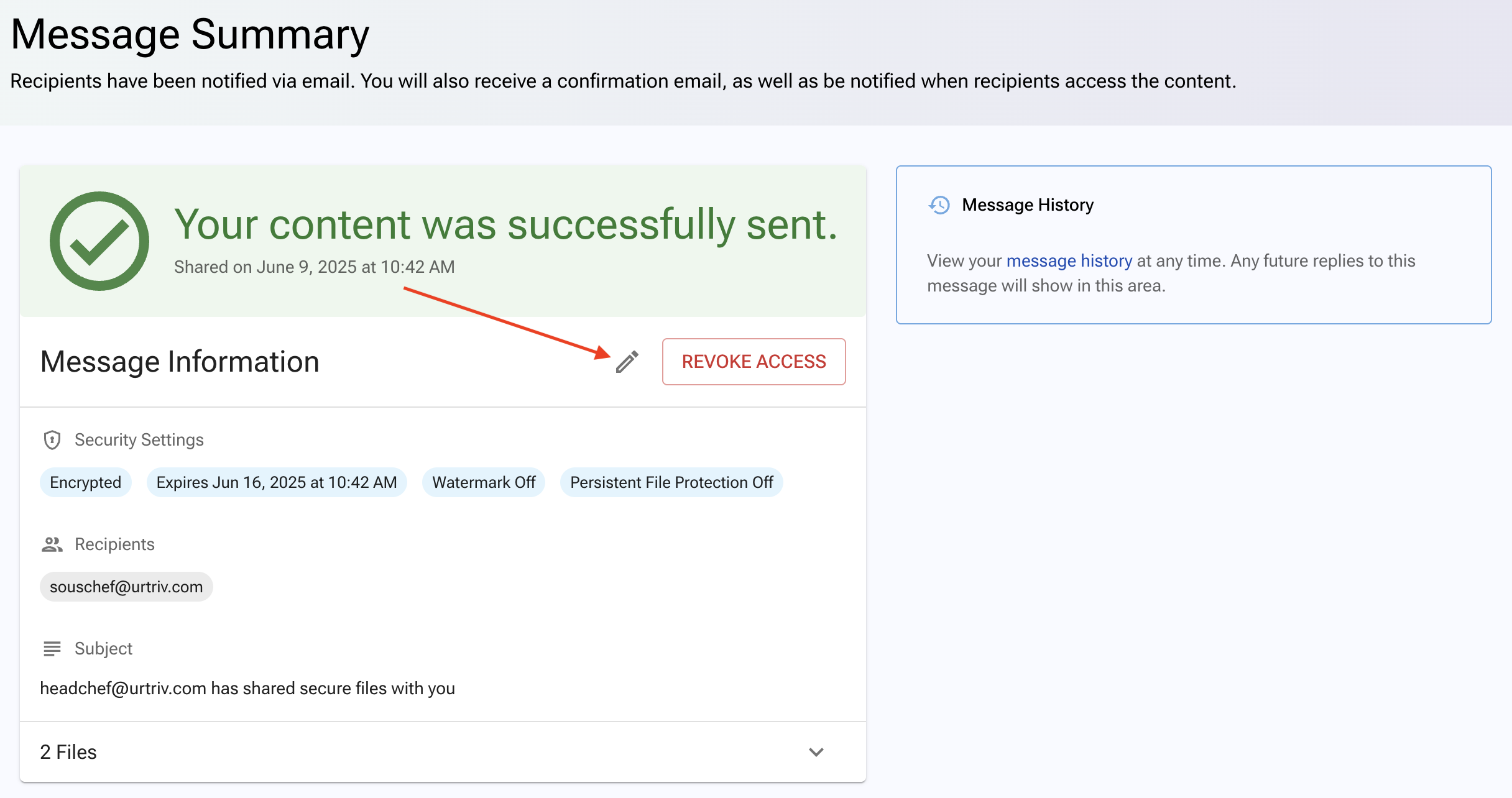 Security Option: Watermarking – Virtru